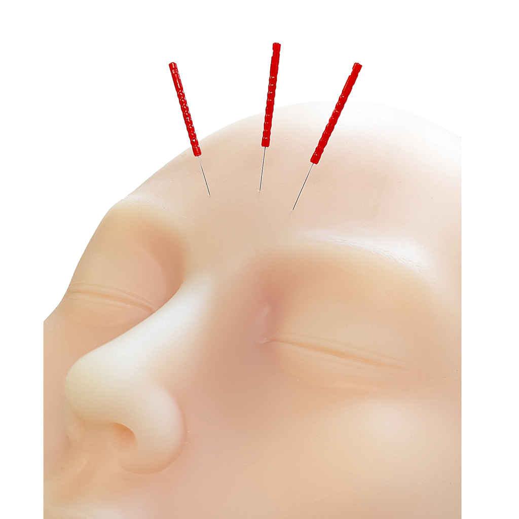 Realistic Facial Model – Silicone, life-size - AcuPrime